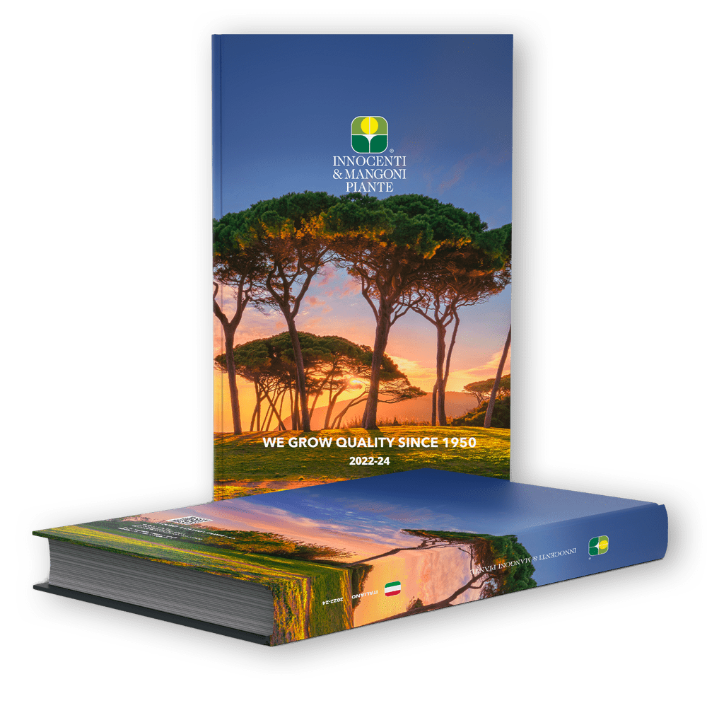 Download catalog - Innocenti & Mangoni piante