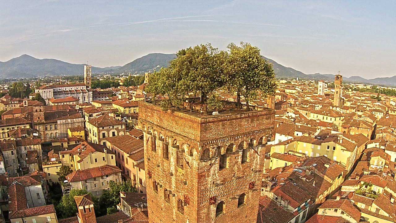 Green architecture: The hanging Garden of Guinigi Tower - Innocenti ...